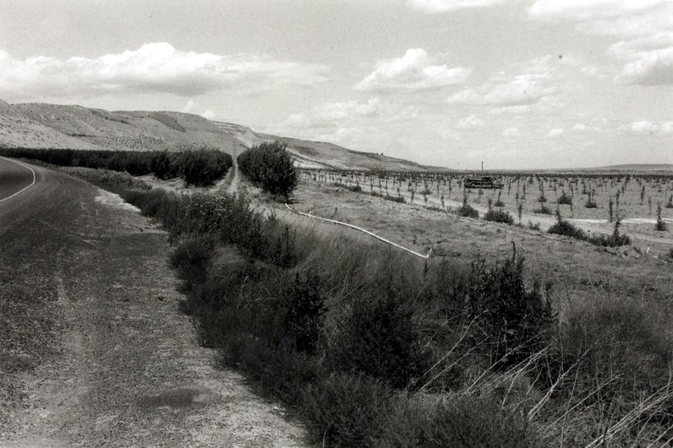 Basin City, Franklin County, Washington, July 13 | Smithsonian American ...