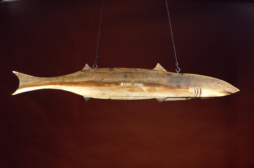 "BLUE DOG" Shark | Smithsonian American Art Museum