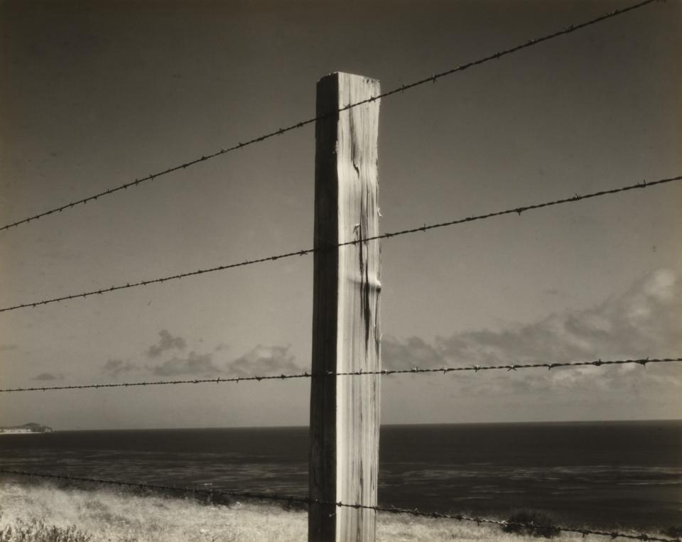 Fence Post | Smithsonian American Art Museum