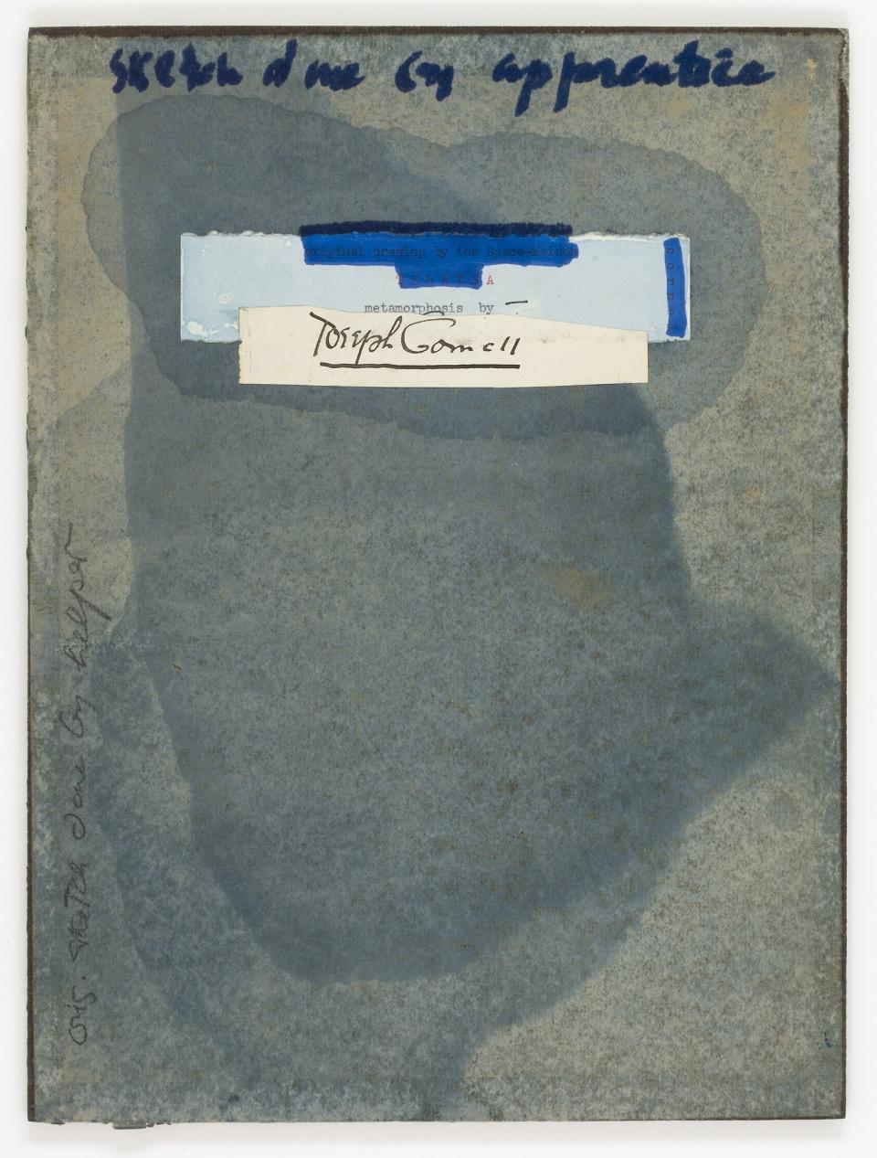 A Metamorphosis | Smithsonian American Art Museum