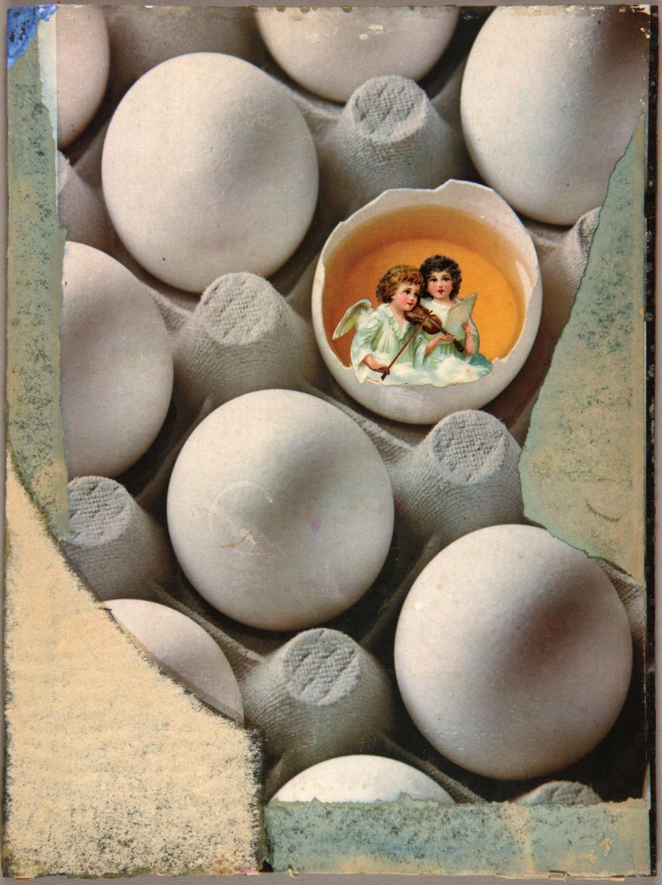Untitled (eggs in carton) | Smithsonian American Art Museum