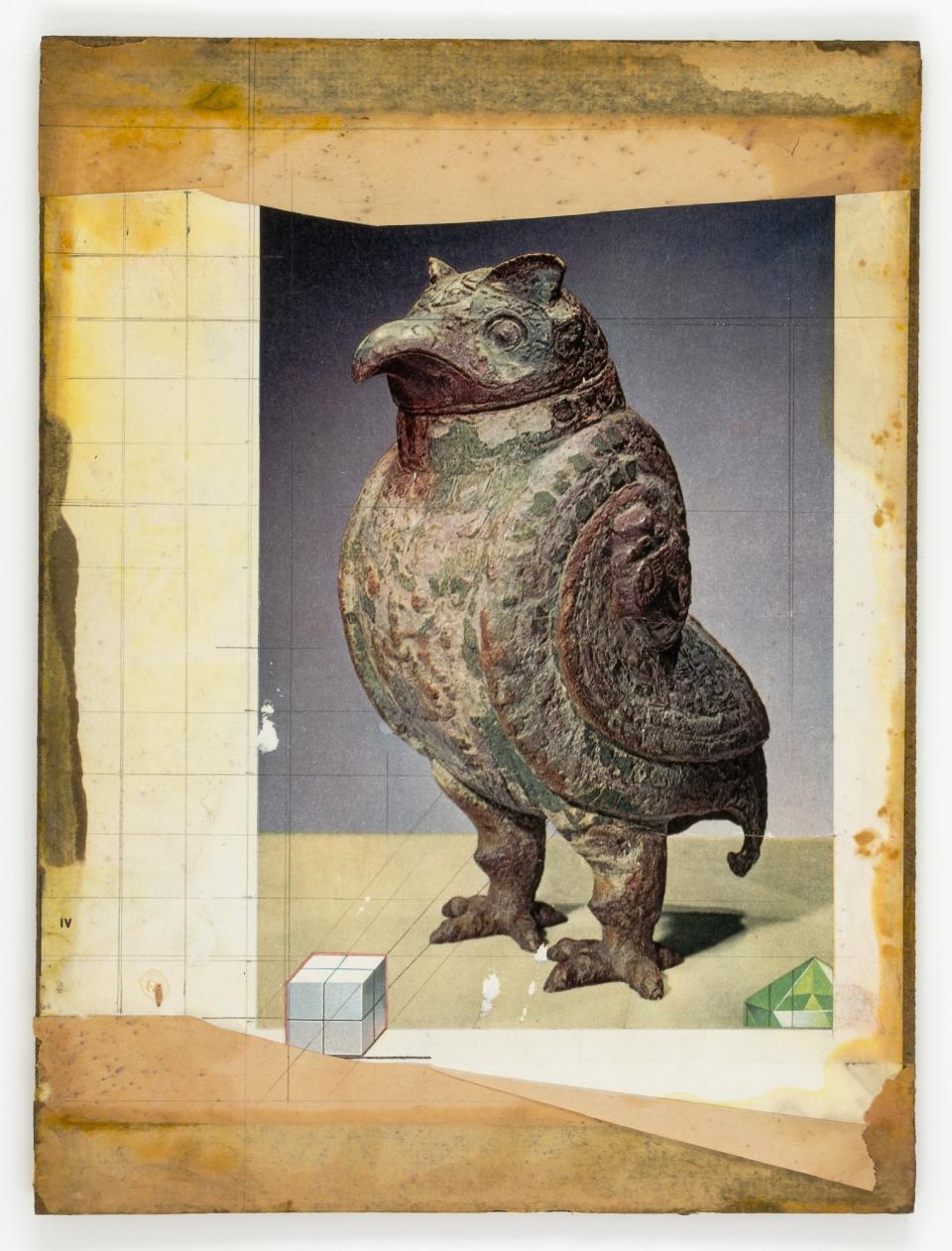 Surface and Volume in Nature (Mathematics in Nature) | Smithsonian ...