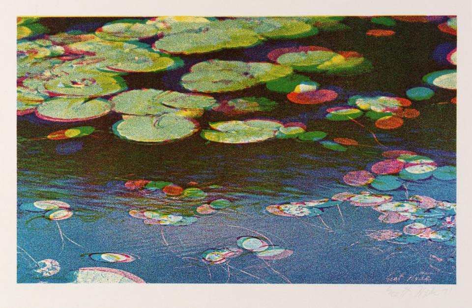 (Untitled--lily pond) | Smithsonian American Art Museum