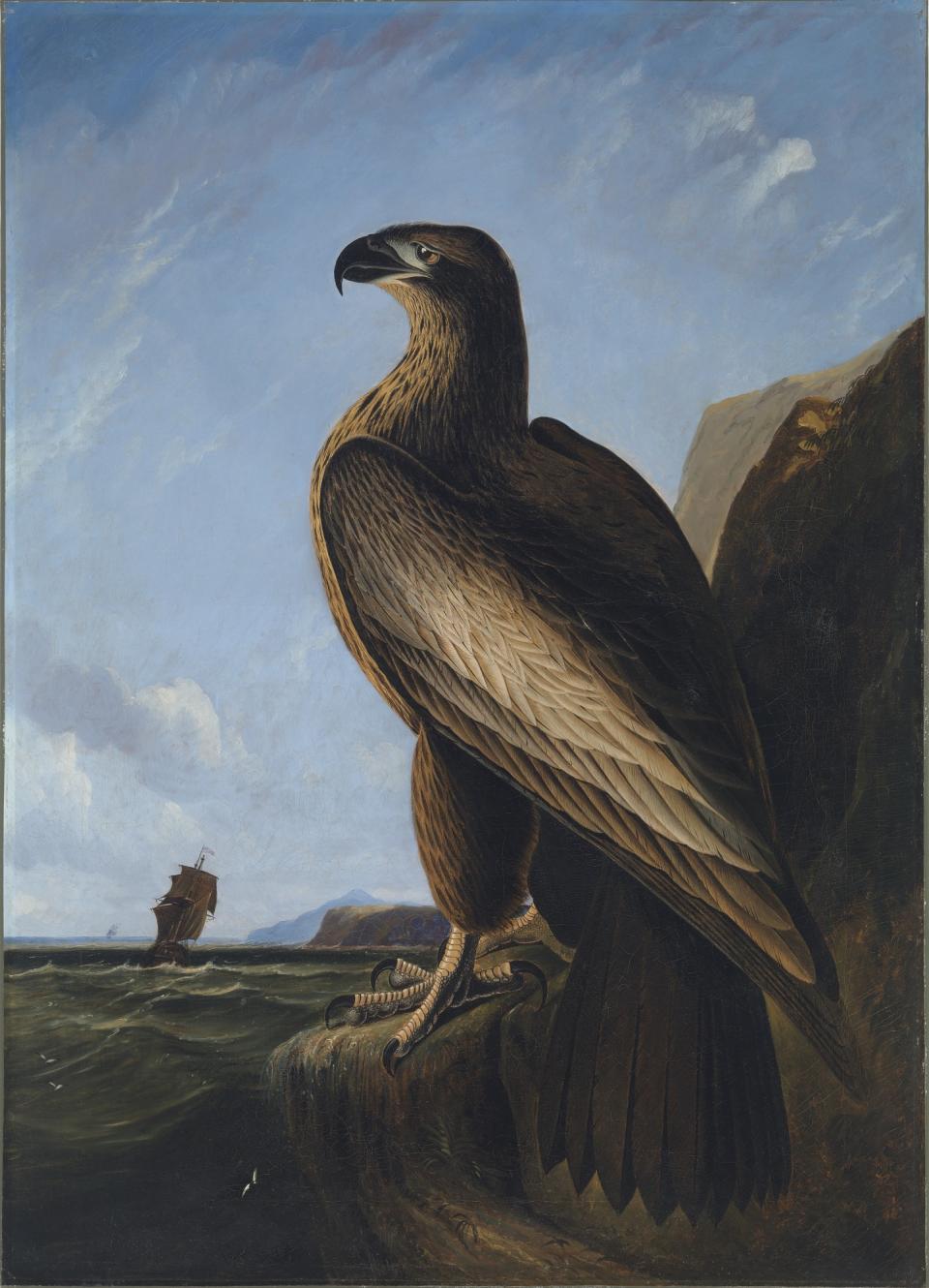 Washington Sea Eagle | Smithsonian American Art Museum