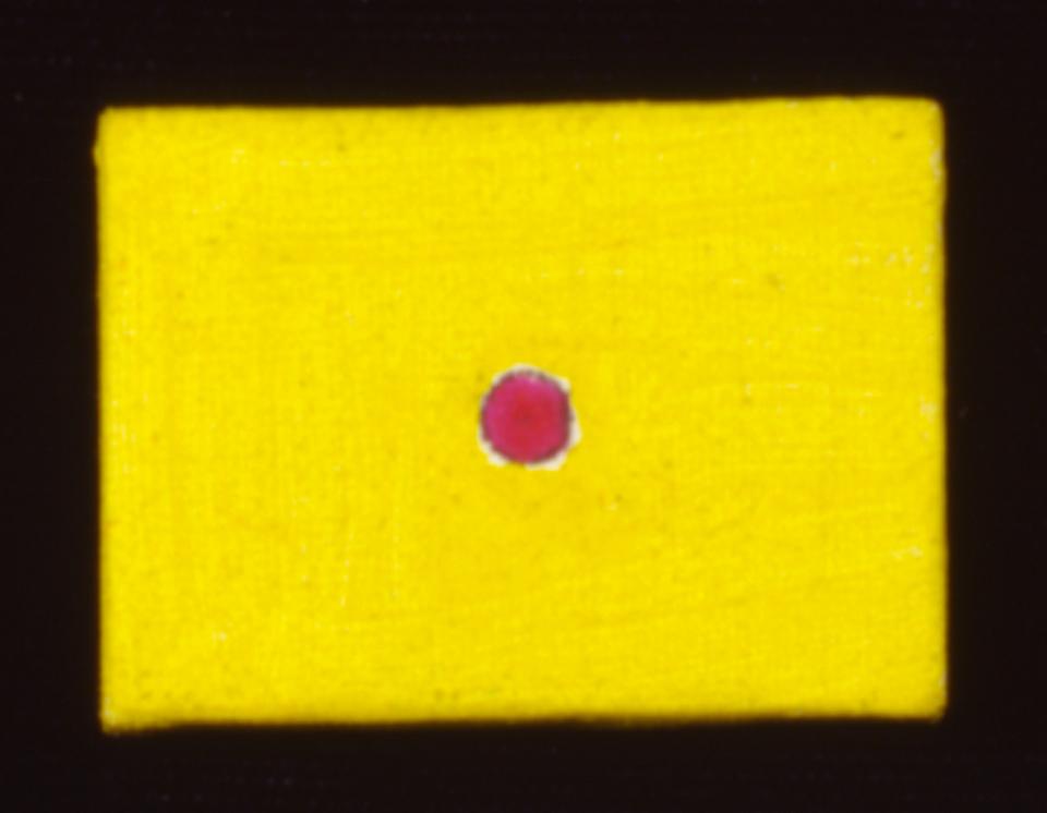 Micro-Painting | Smithsonian American Art Museum