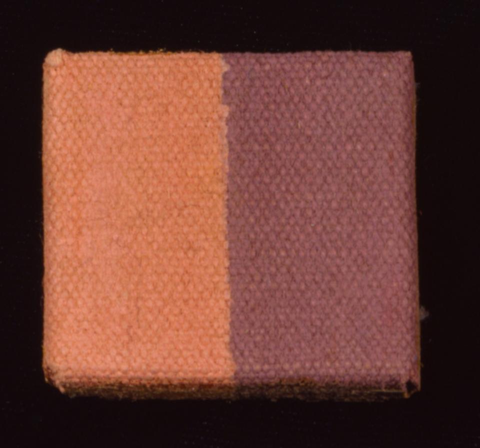 Micro-Painting | Smithsonian American Art Museum