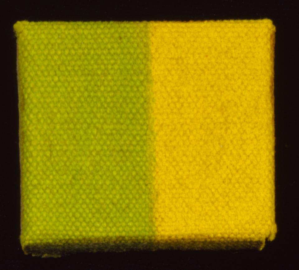 Micro-Painting | Smithsonian American Art Museum