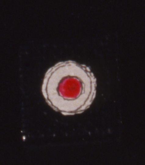 Micro-Painting | Smithsonian American Art Museum