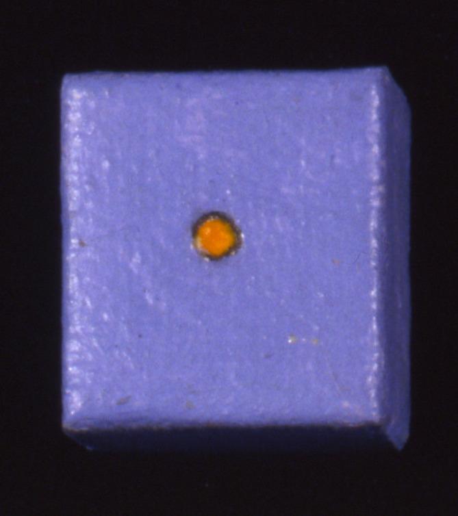 Micro-Painting | Smithsonian American Art Museum