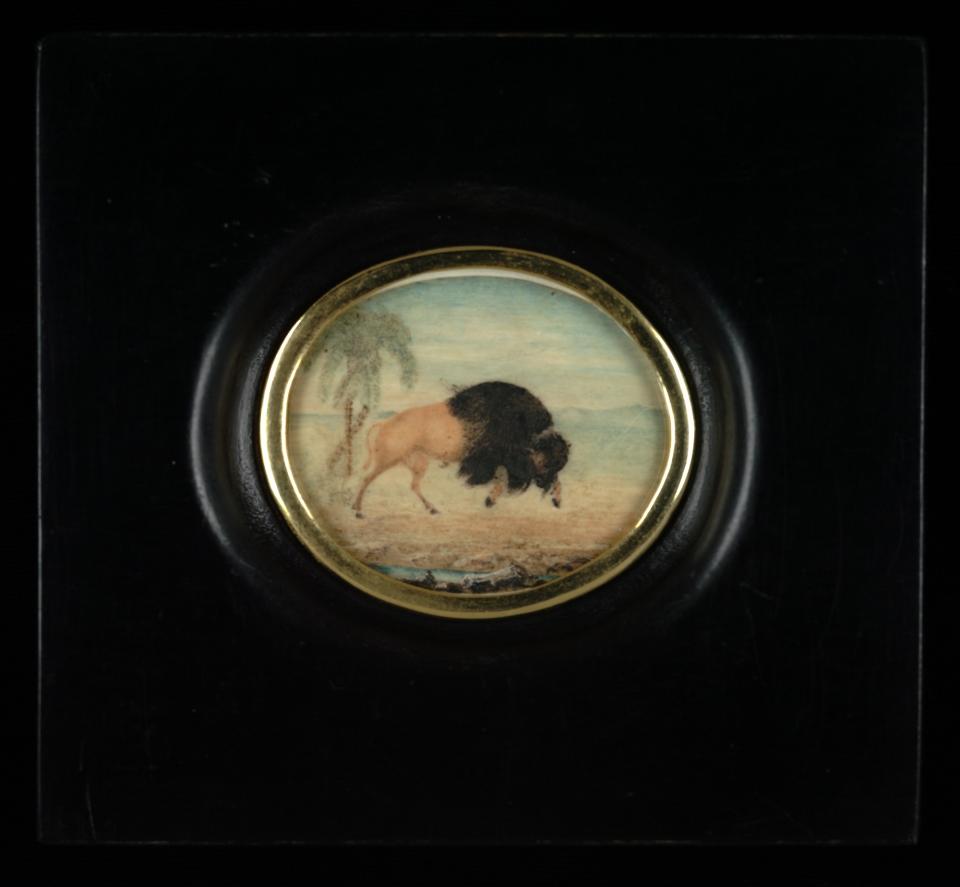 Bisonte con palmeras (Bison with Palm Trees) | Smithsonian American Art ...