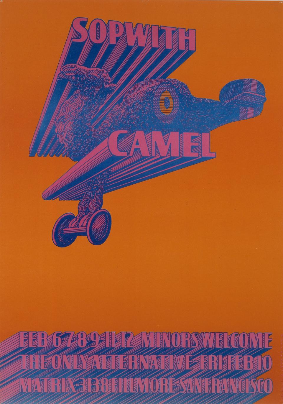Sopwith Camel | Smithsonian American Art Museum