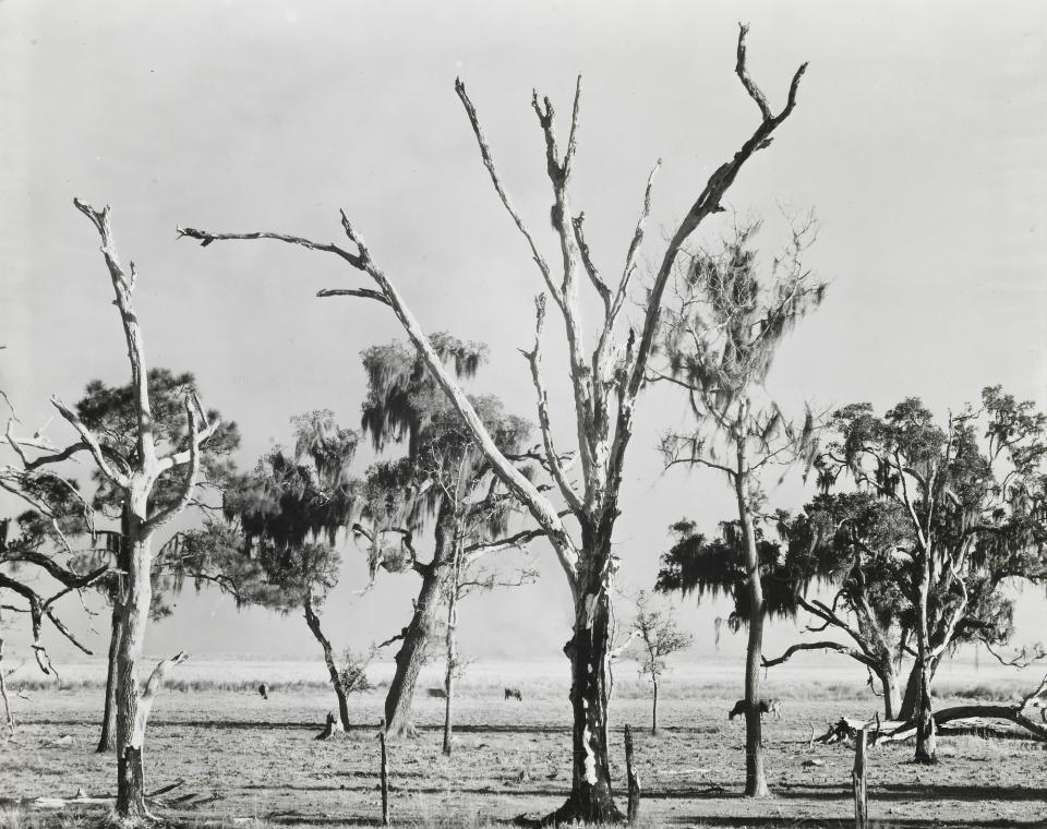 Southern Farmland | Smithsonian American Art Museum