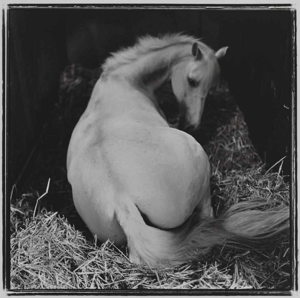 Rubenesque | Smithsonian American Art Museum