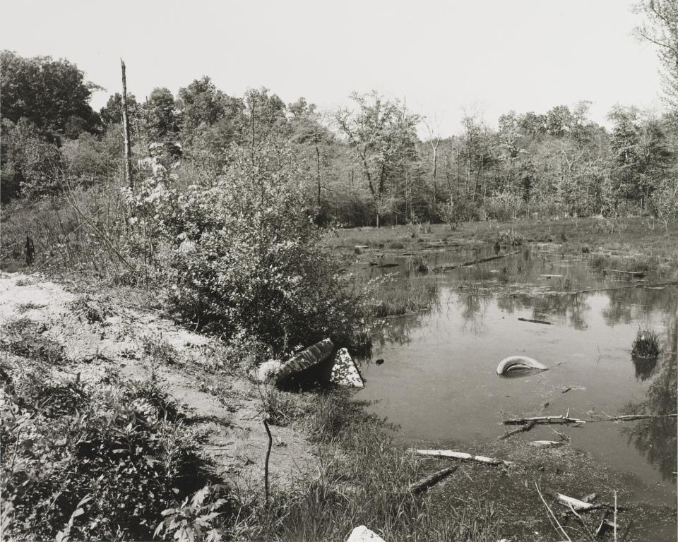 Untitled, from the series The Pond | Smithsonian American Art Museum