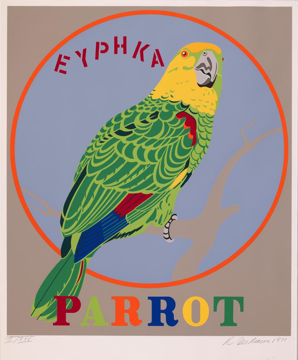 Parrot | Smithsonian American Art Museum