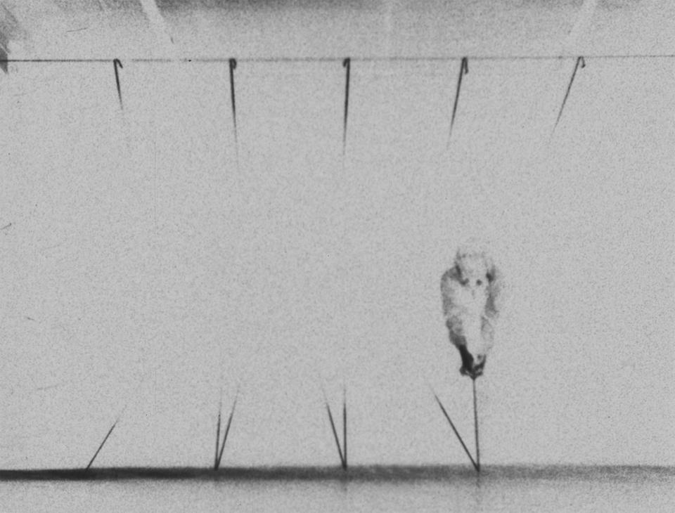 Vertical and Receding Lines | Smithsonian American Art Museum