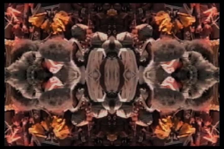 Jungle, Jungle | Smithsonian American Art Museum