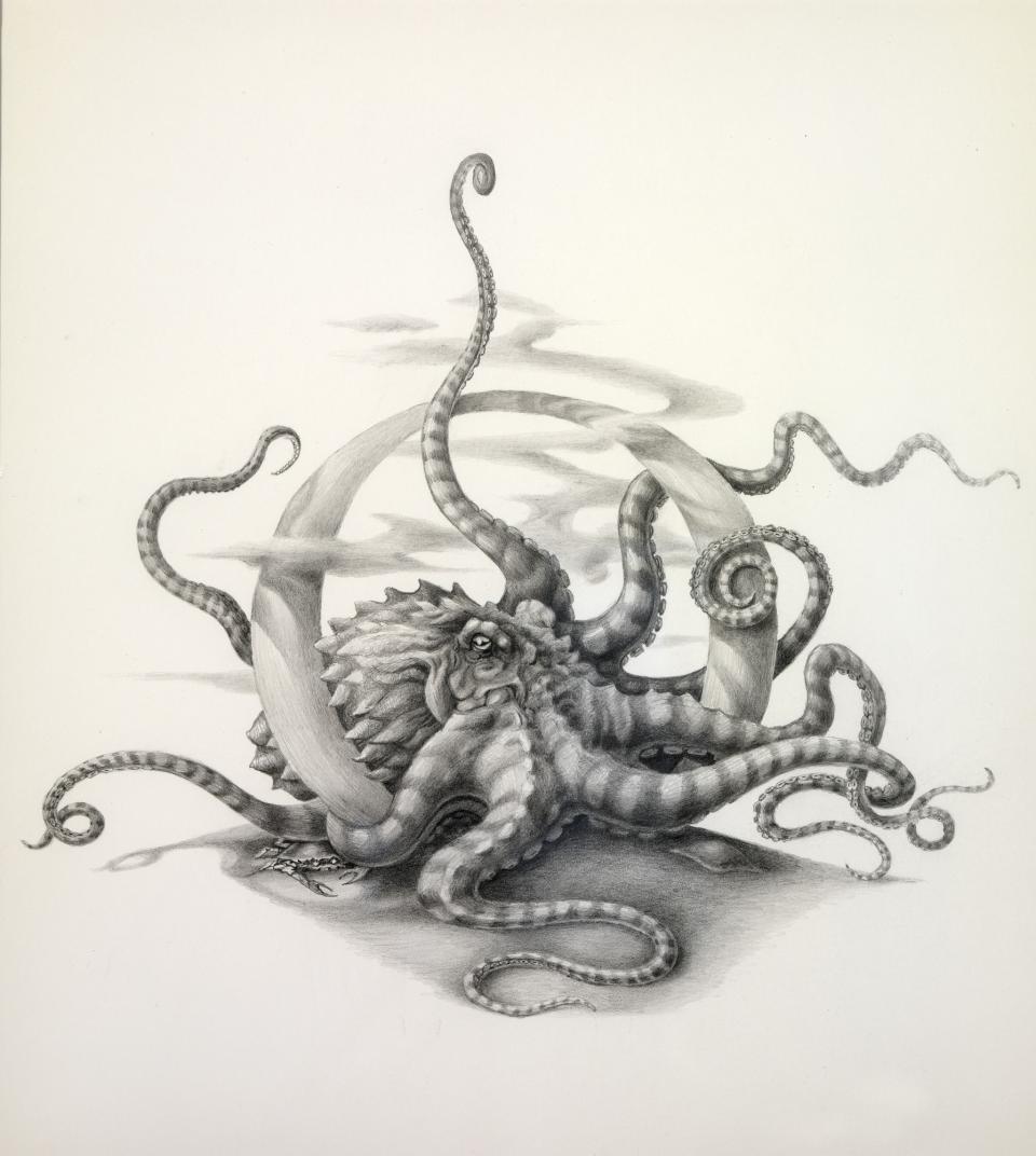 Octopi, from Lettered Creatures | Smithsonian American Art Museum