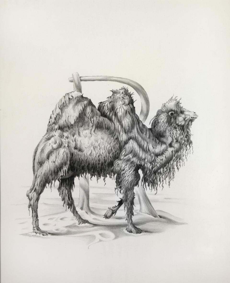 Ruminant, from Lettered Creatures | Smithsonian American Art Museum