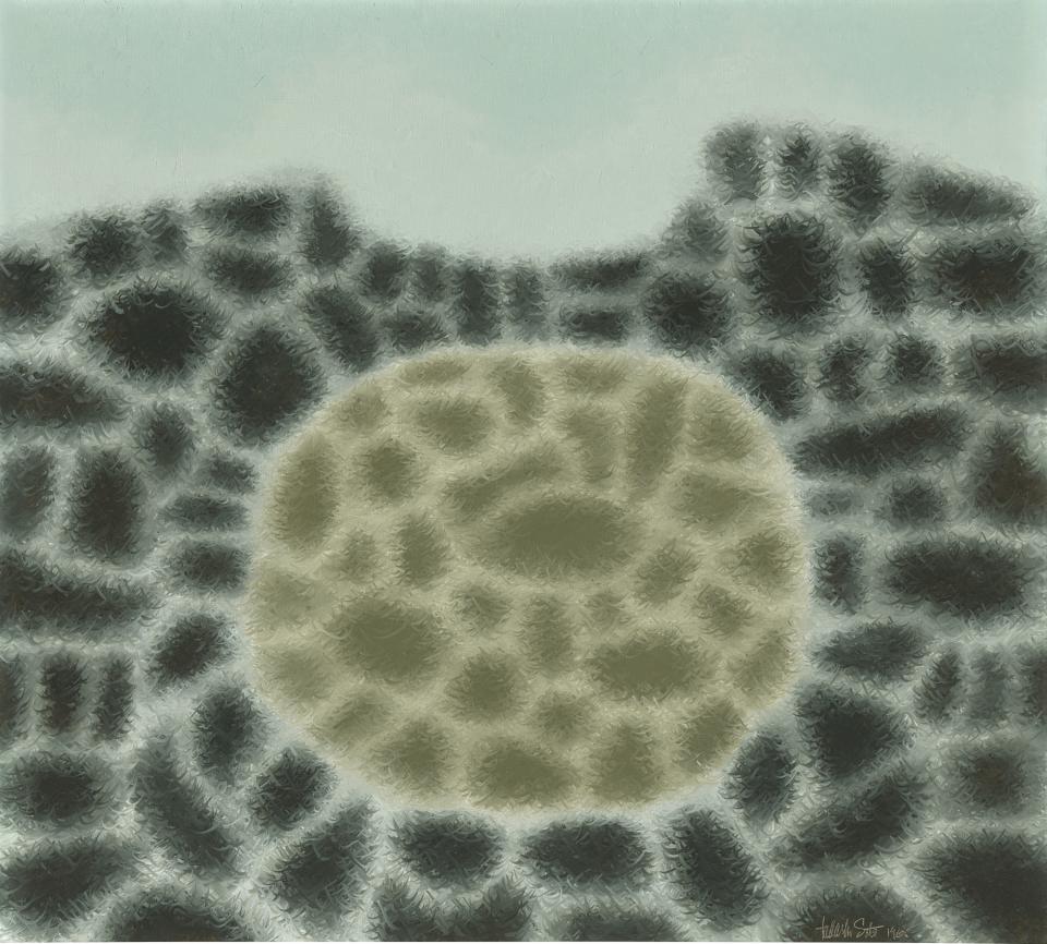 Embedded Rock | Smithsonian American Art Museum