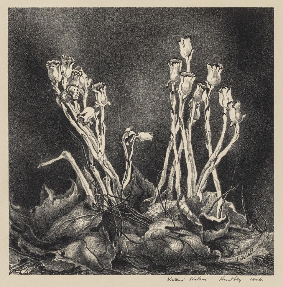 Indian Pipes | Smithsonian American Art Museum