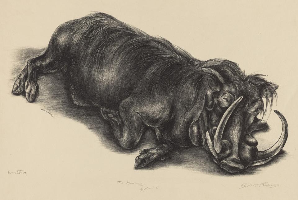 Warthog | Smithsonian American Art Museum