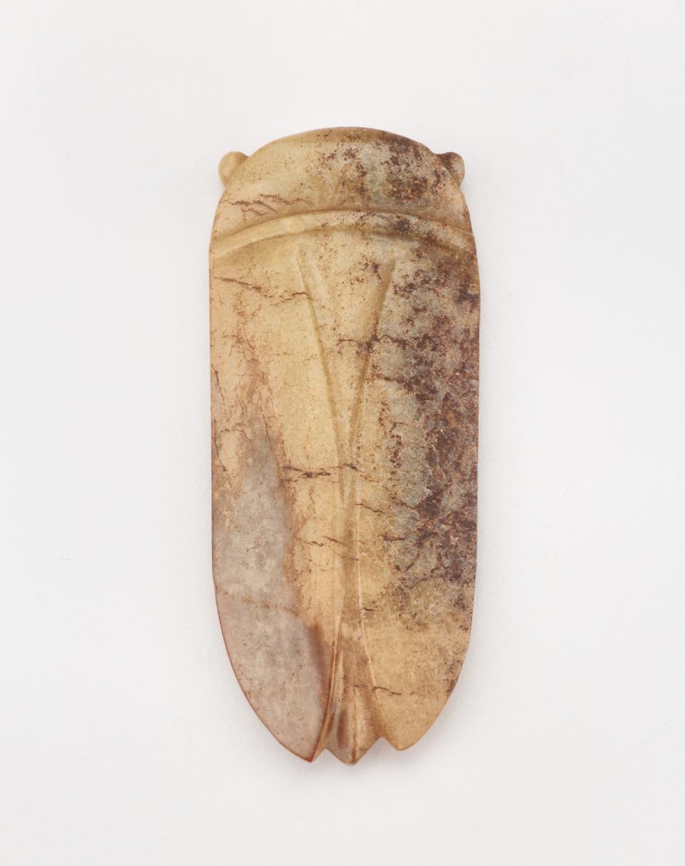 Cicada | Smithsonian American Art Museum