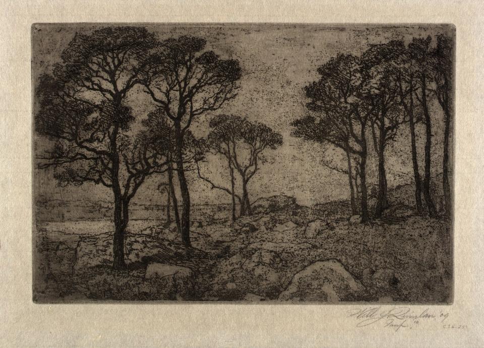 Trees and Rocks, Mystic, Connecticut | Smithsonian American Art Museum