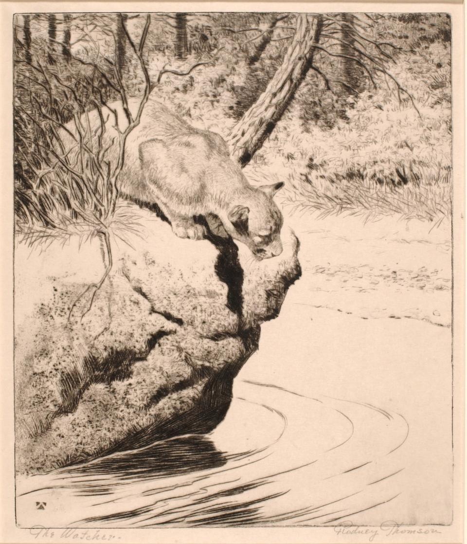 The Watcher | Smithsonian American Art Museum