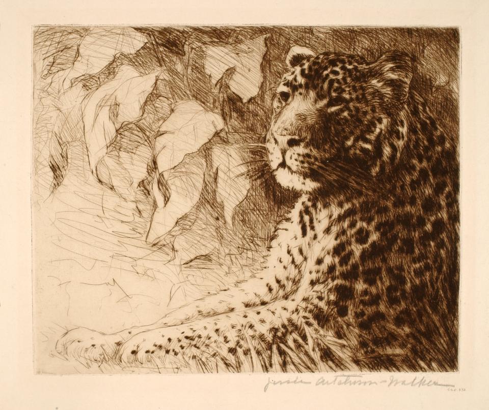 Leopard | Smithsonian American Art Museum