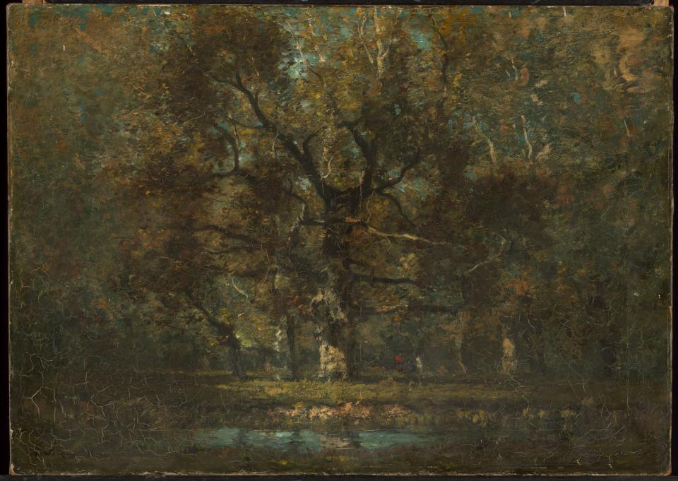 Oak Tree | Smithsonian American Art Museum