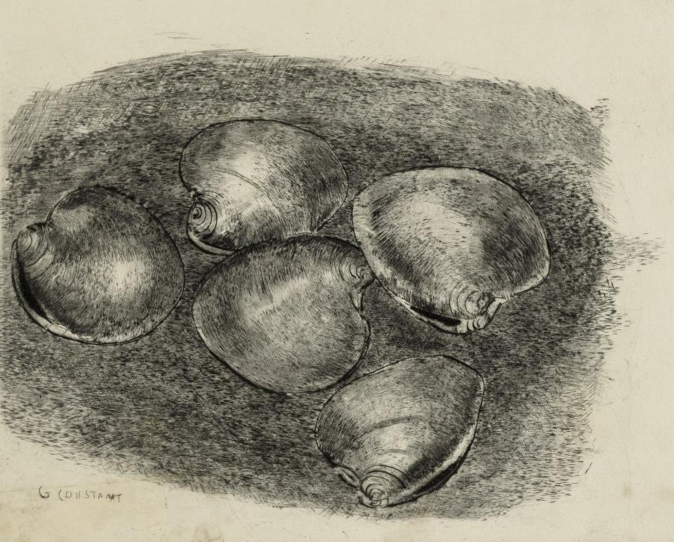 Clams | Smithsonian American Art Museum