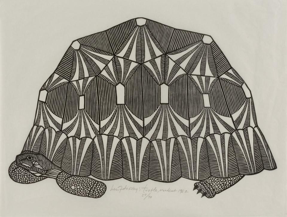 Turtle | Smithsonian American Art Museum