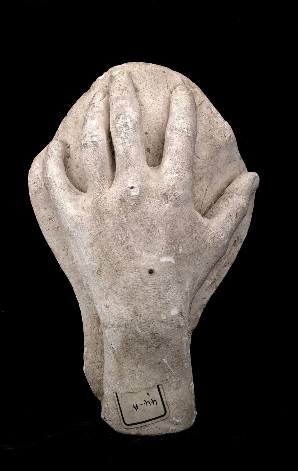 Cast of an Unidentified Man's Left Hand Resting on a Curved Form ...