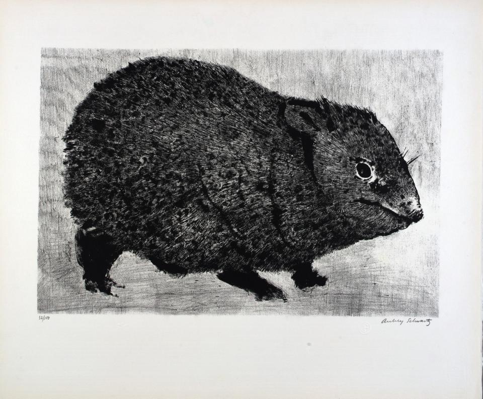 (A Bestiary, portfolio) Wart Hog | Smithsonian American Art Museum