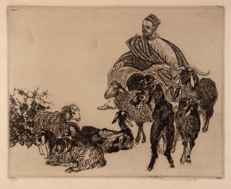 Untitled (Arab with Goats) | Smithsonian American Art Museum