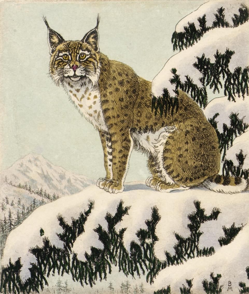 Wildcat Reconnoitering | Smithsonian American Art Museum