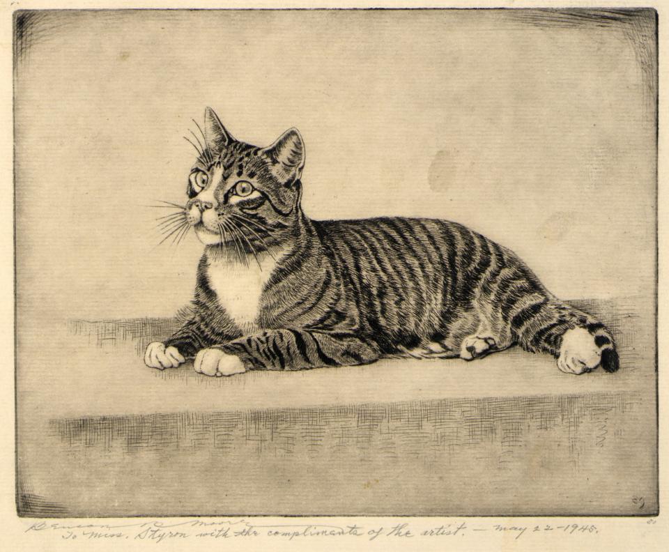 Tabby Cat | Smithsonian American Art Museum