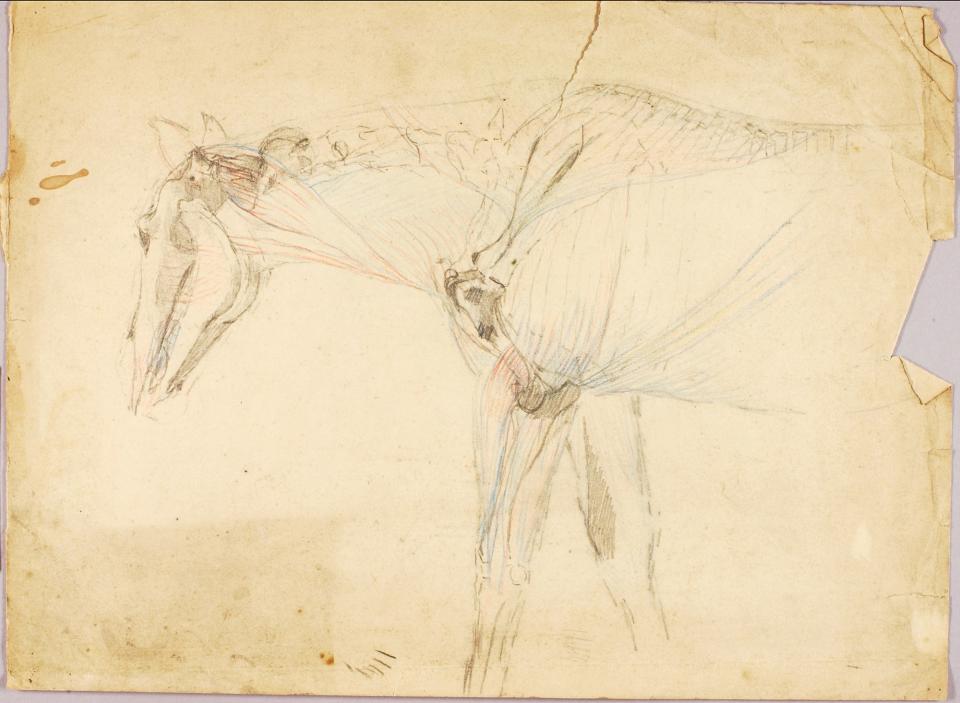 Horse Study | Smithsonian American Art Museum