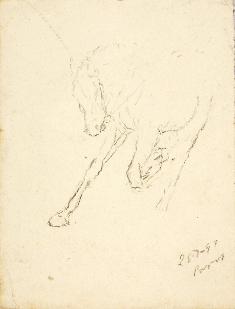 Horse | Smithsonian American Art Museum