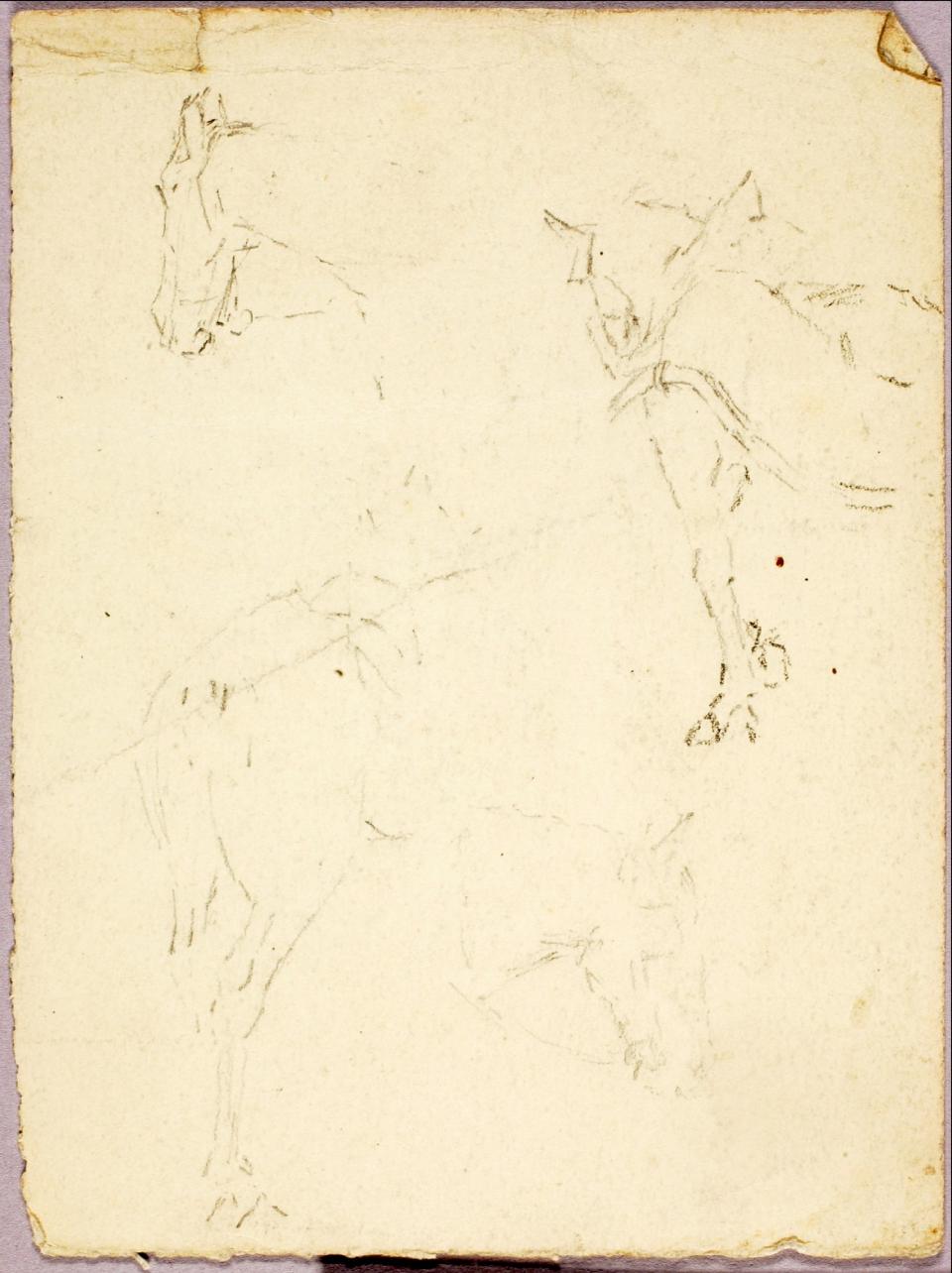 Horses | Smithsonian American Art Museum