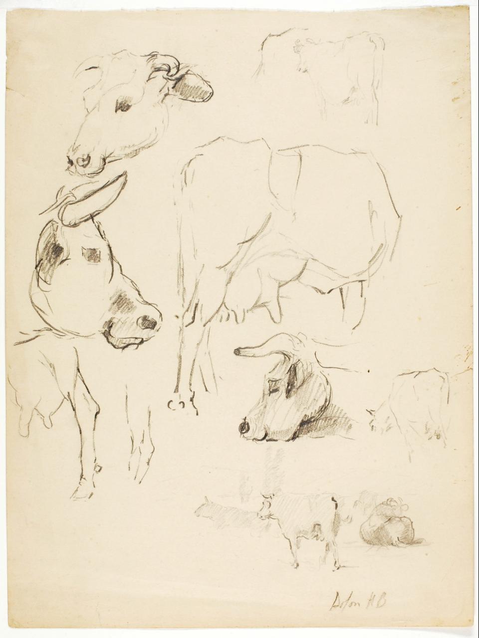 Cows | Smithsonian American Art Museum