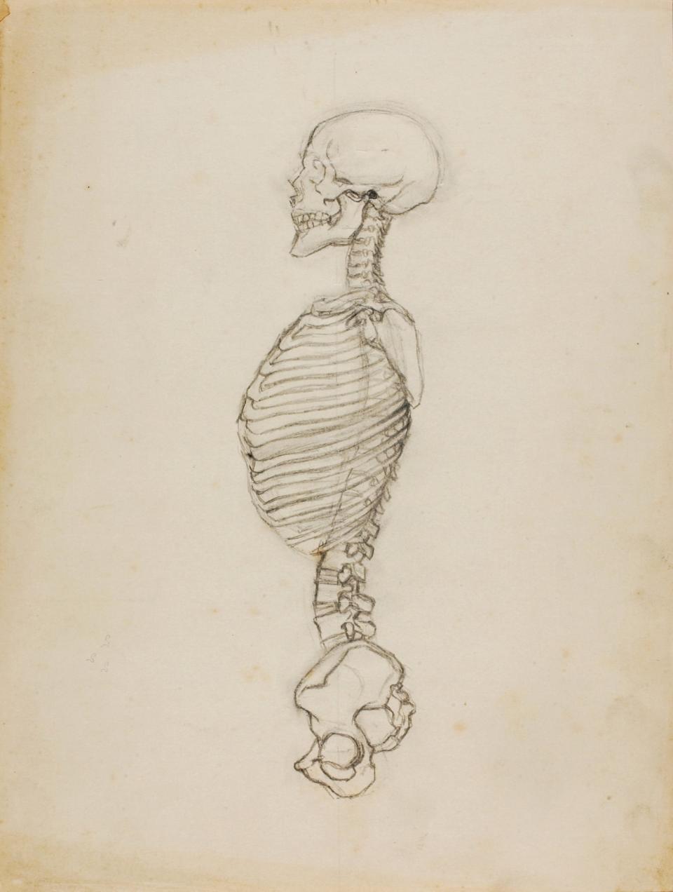 Anatomy | Smithsonian American Art Museum