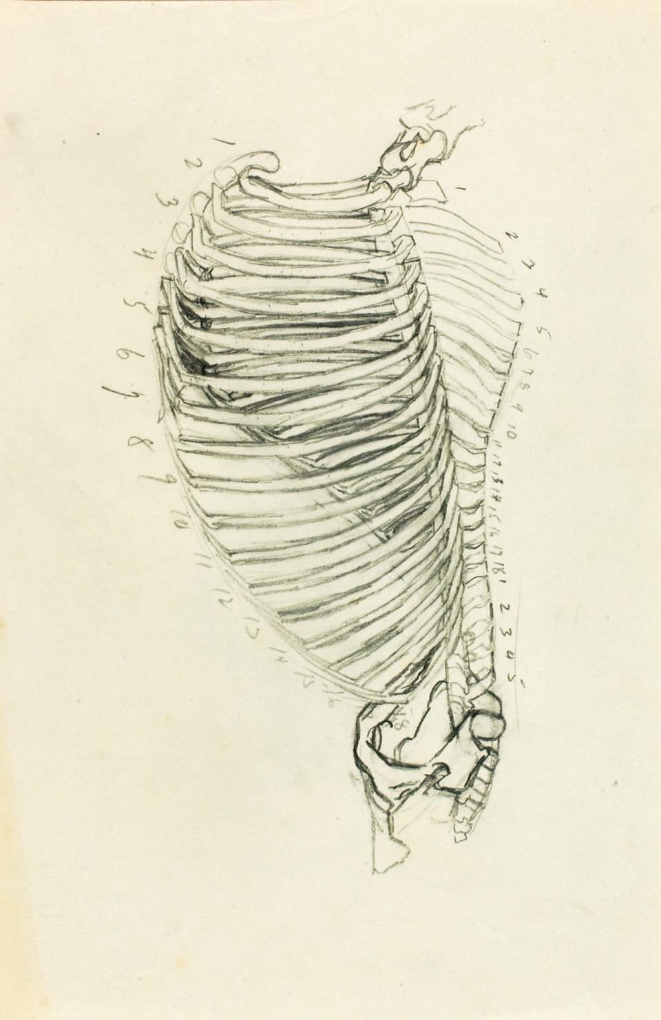 Anatomy | Smithsonian American Art Museum