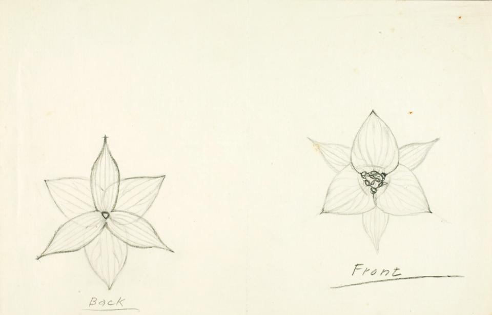 Framework of the Flower | Smithsonian American Art Museum