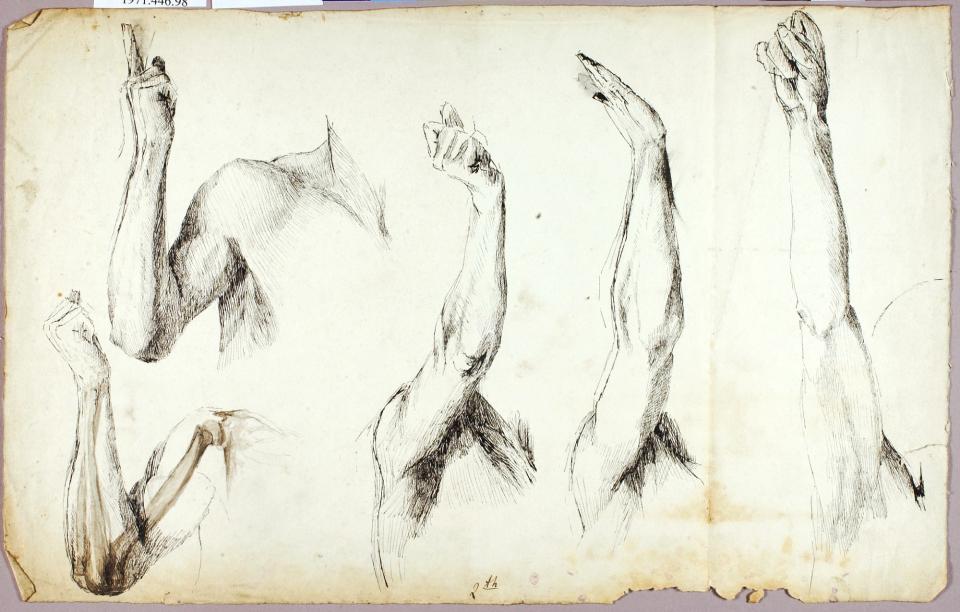 Arm Studies, #2 | Smithsonian American Art Museum
