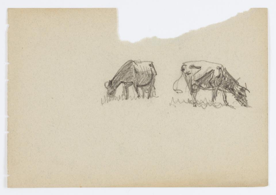 Untitled (Two Cows) | Smithsonian American Art Museum