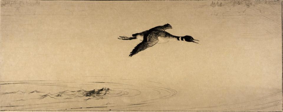 The Loon | Smithsonian American Art Museum