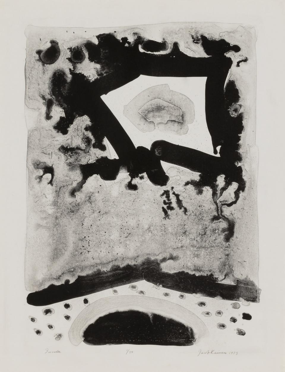 Invader | Smithsonian American Art Museum