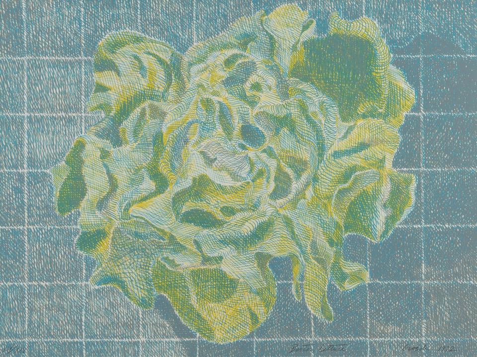 Boston Lettuce | Smithsonian American Art Museum
